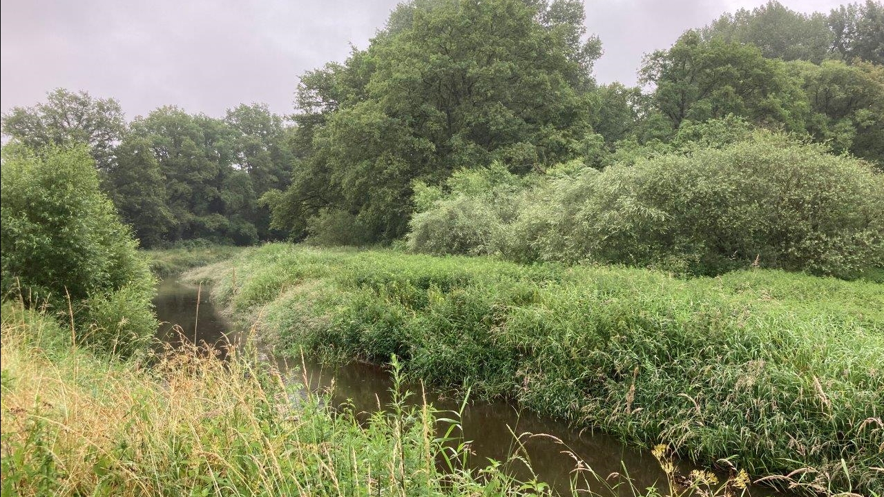 Minder vaak maaien en meer natuurvolgend peilbeheer - Vechtstromen